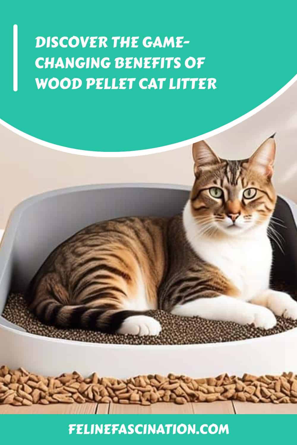 Discover the Game-Changing Benefits of Wood Pellet Cat Litter